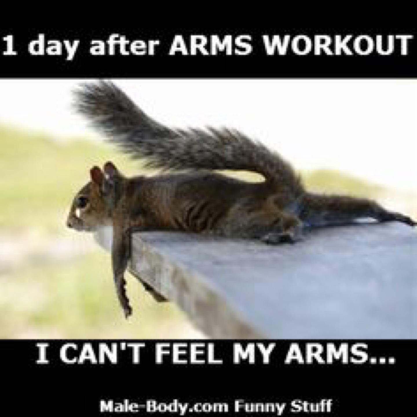 Day After Arm Day Meme