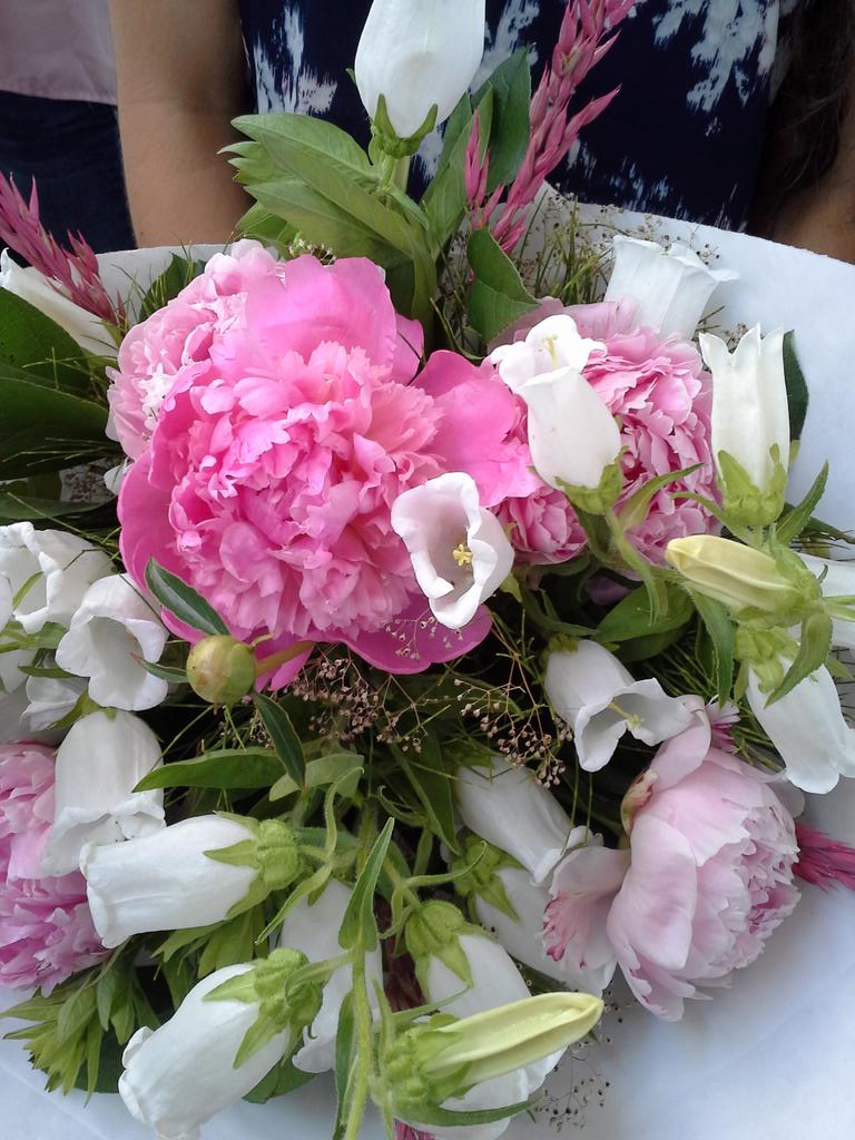 Sarah__Samuelson (@musicalwildcat) | Twitter