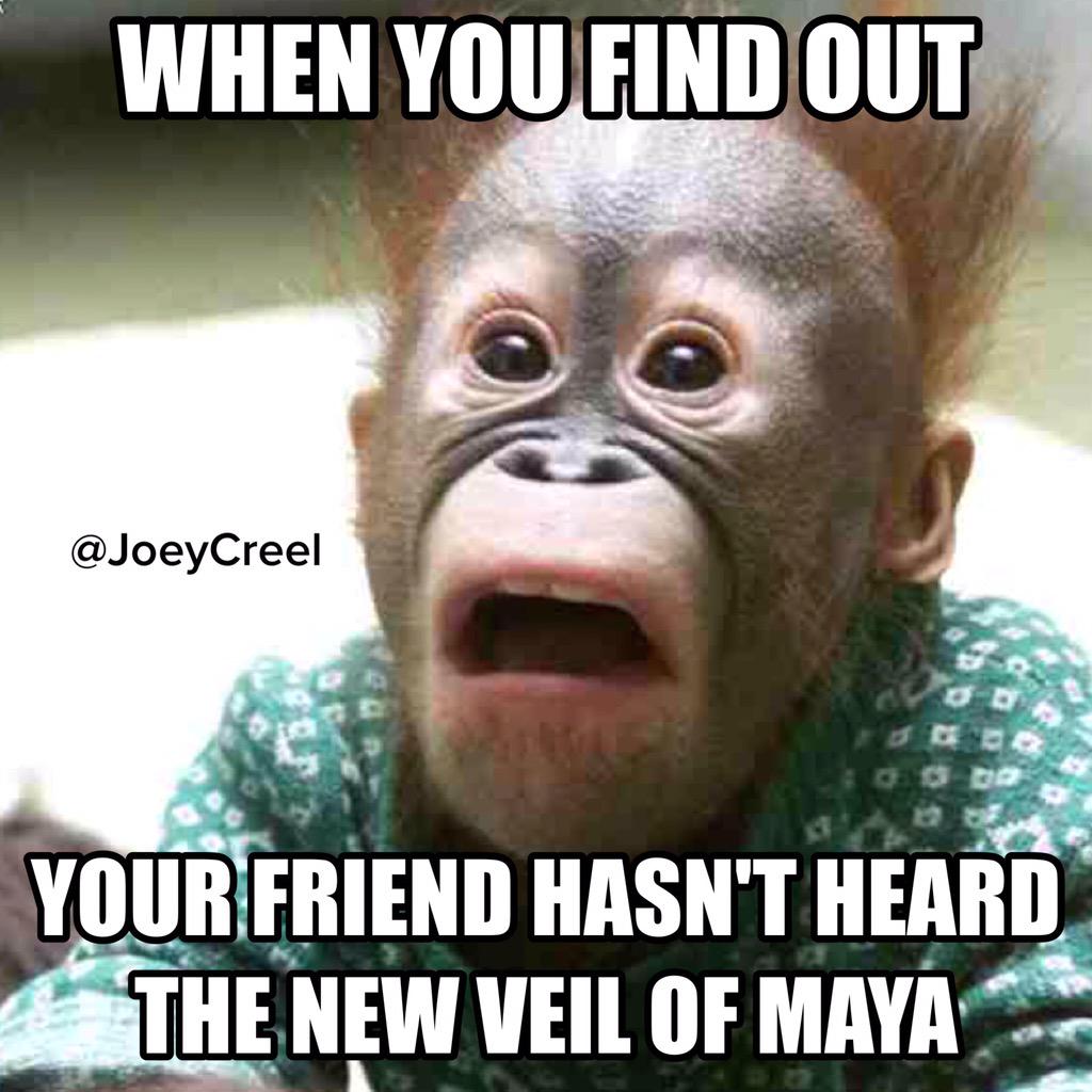 Memes De Maya