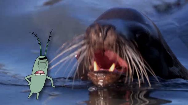 Spongebob Sea Lion