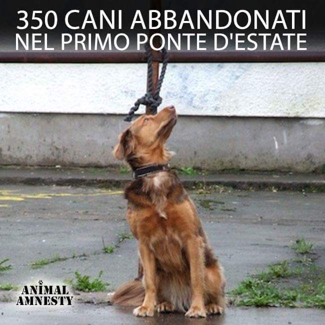 Valentina Buffa (@Valebuffapieve) | Twitter