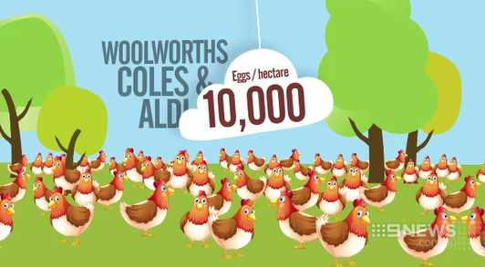 Number of 'freerange' hens per hectare ranges from 185 to 10,000 ...