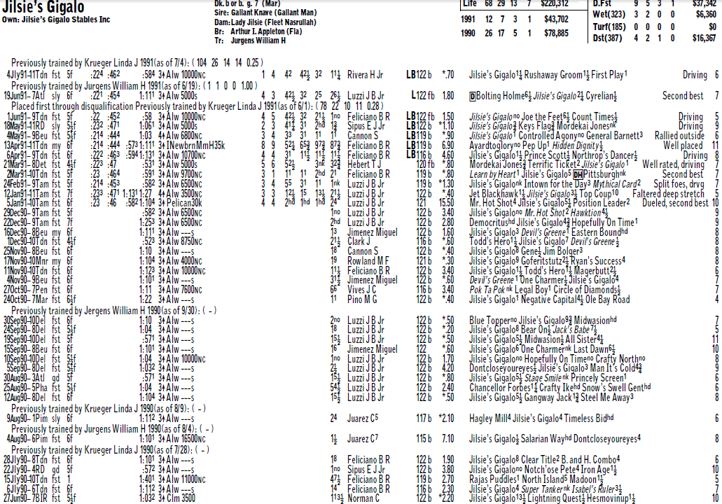 Jilsie's Gigalo -- a horse who practically lived on a van -- won 24 ...