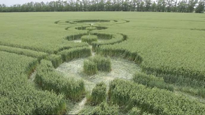 Russian ‘x-files’: drone captures ‘alien’ crop circles in wheat field ...