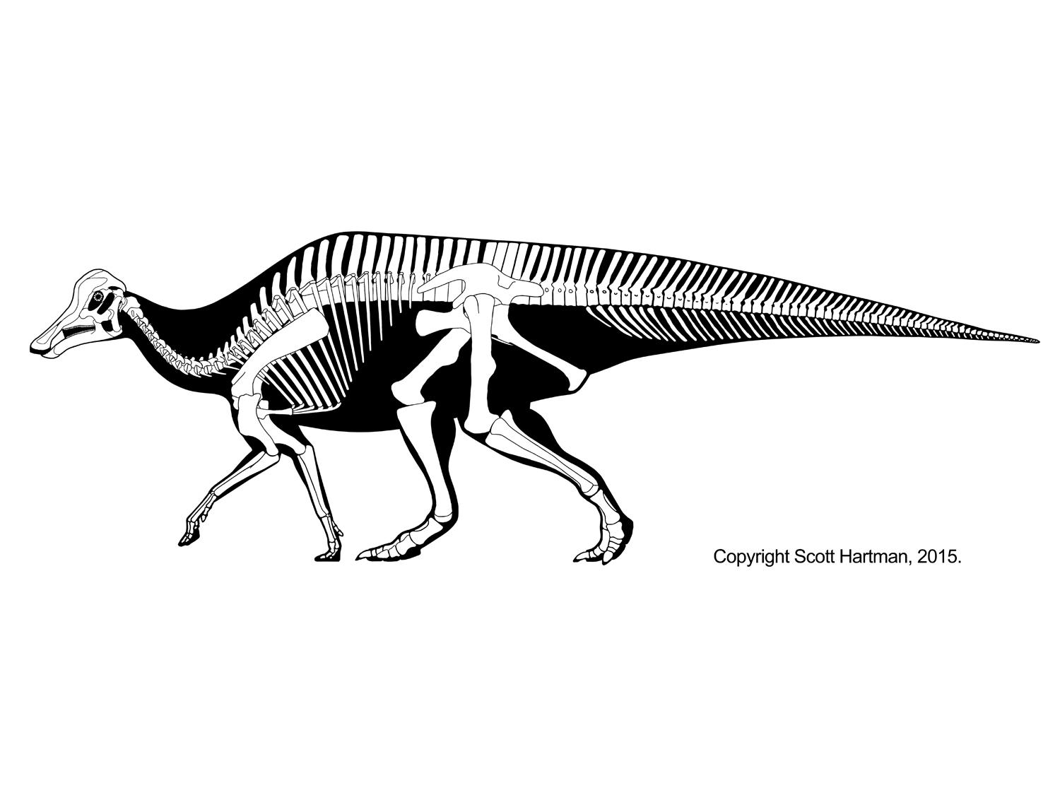 Hypacrosaurus