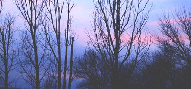 Trippy Twitter Headers