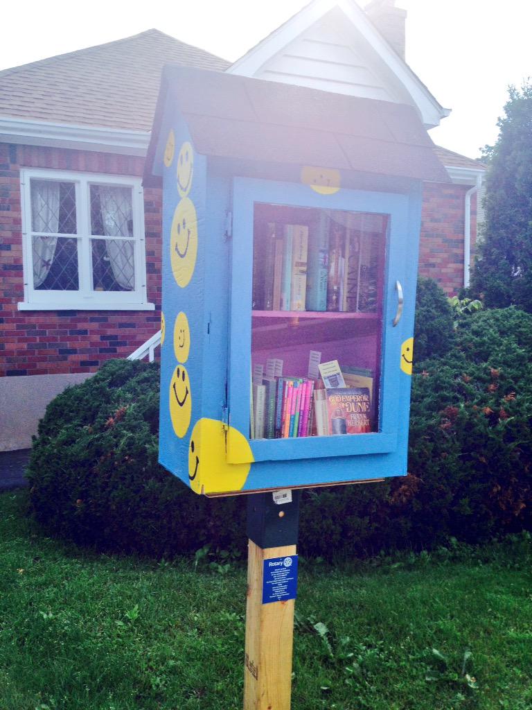 A bunch of these tiny little library boxes popped up overnight in my ...