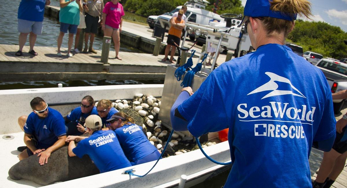 San Diego Seaworld Rescue Team