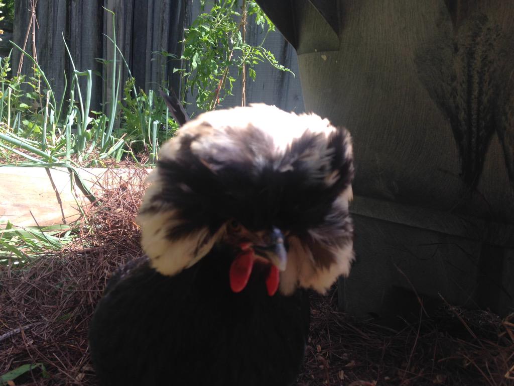 Mffx : Vzvct0lojkdsqm : As of april 29, 2021, american funds washington ...