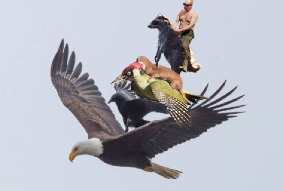 Vladimir Putin Riding An Eagle