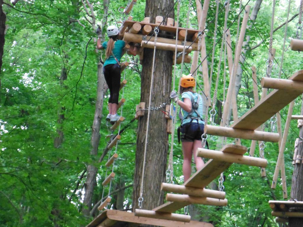 Boler Mountain on Twitter: "Treetop trekking @bolermountain then fireworks @byronsportscomplex # ...