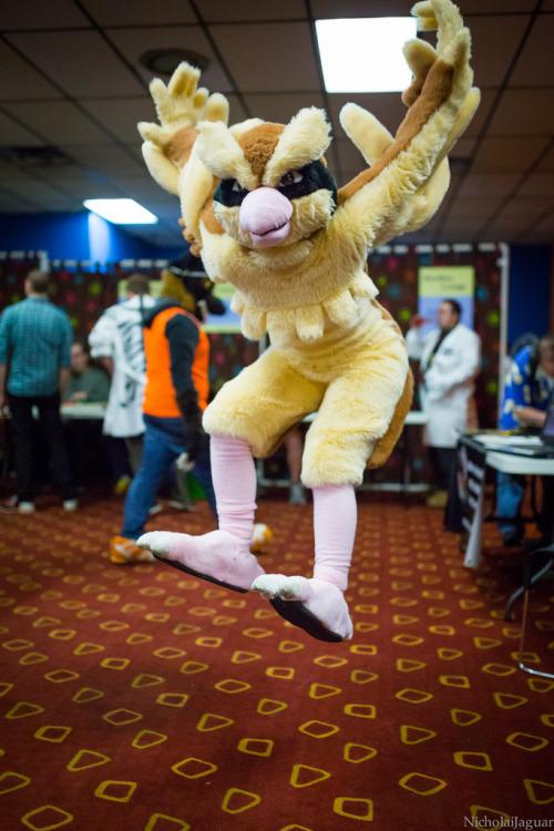 Pokemon Fursuit