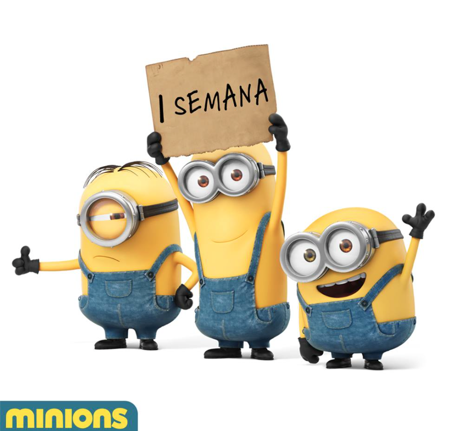Stuart Kevin Y Bob