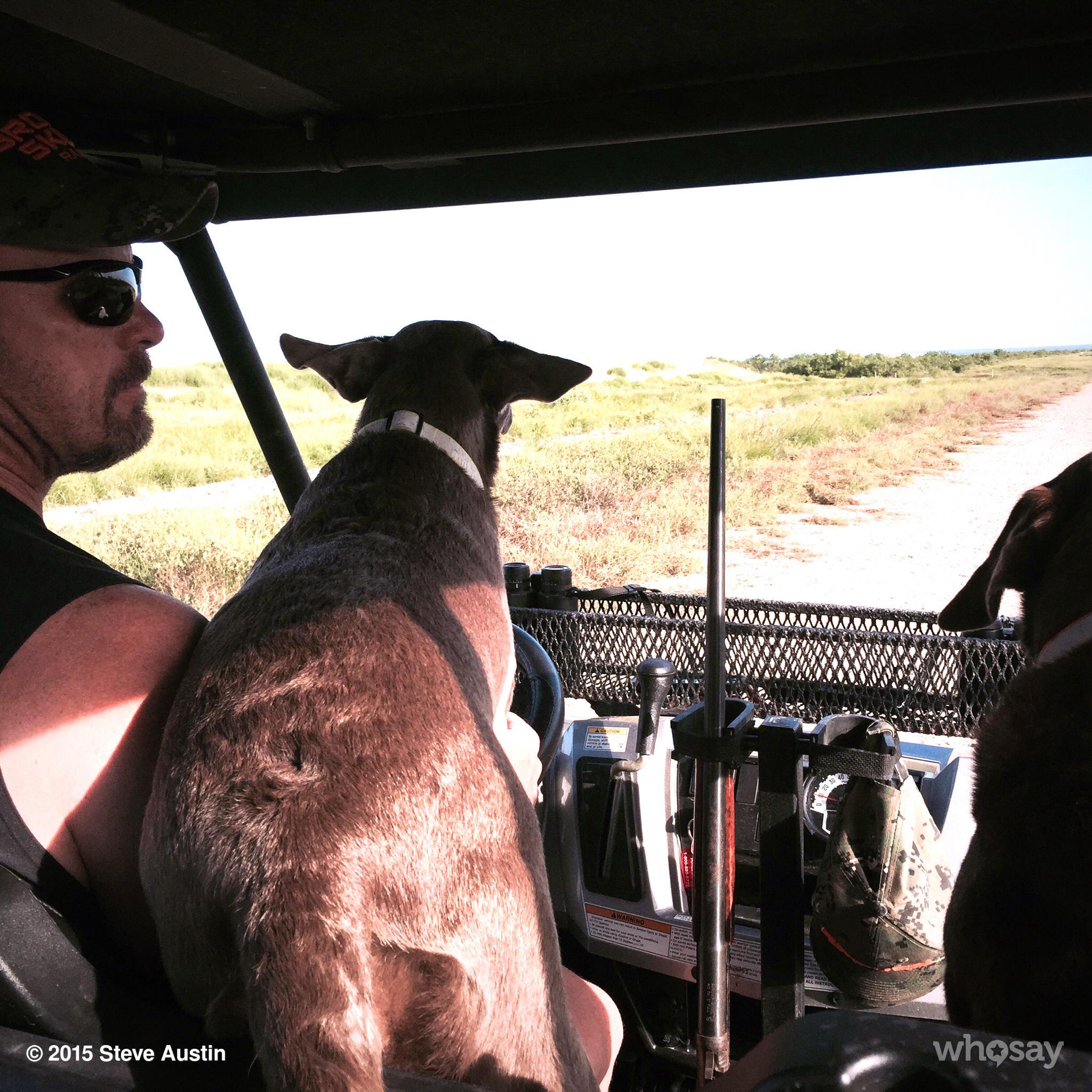 Kristin Austin Steve Austin