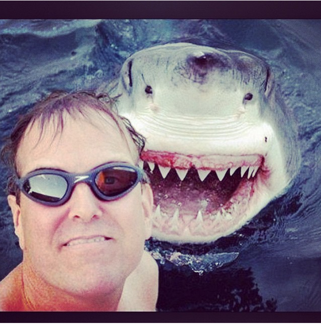 Shark Photobomb