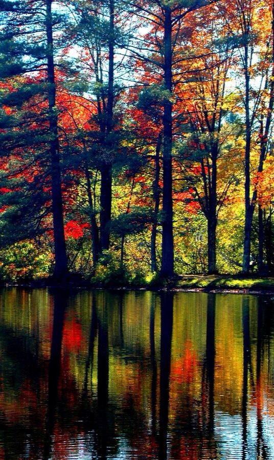 Dula Edirisooriya on Twitter: "Autumn http://t.co/w8fbdaN4vG"