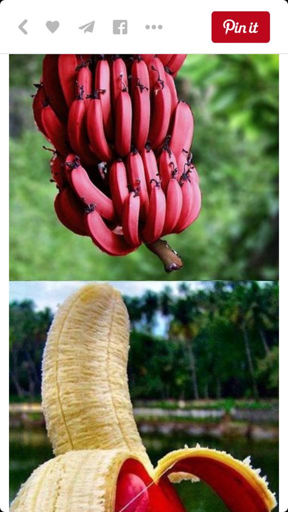 Where You Can Get A Banapple Fruit