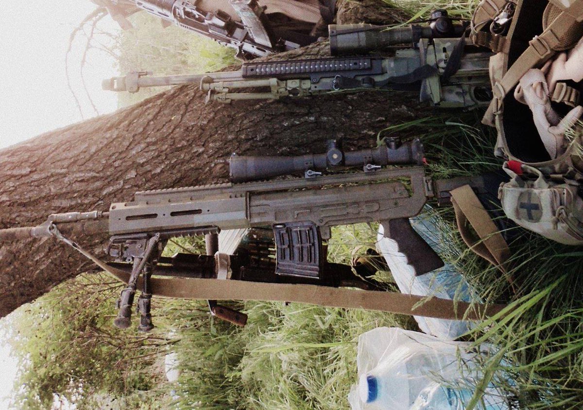 Another customized SVD. : r/guns