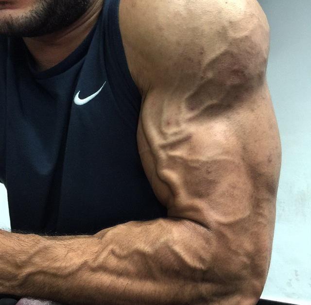 Muscle Arm Veins