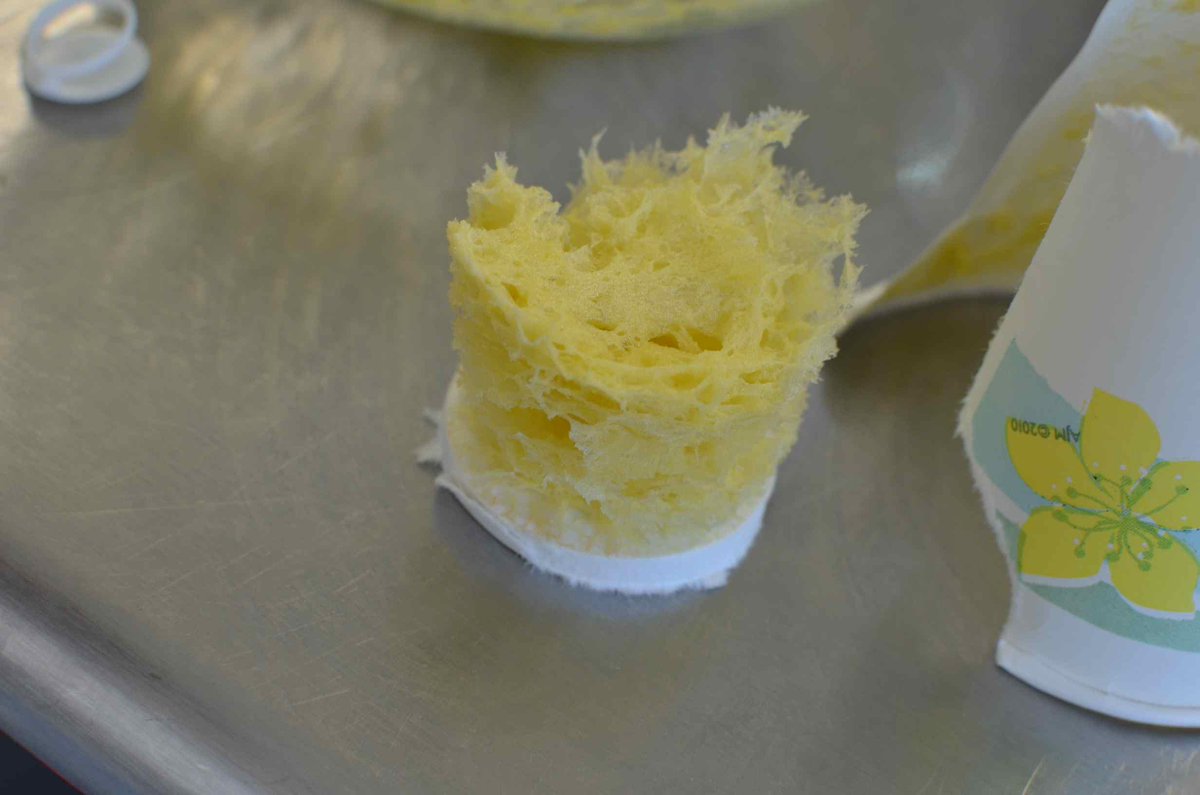 microwave sponge cake el bulli