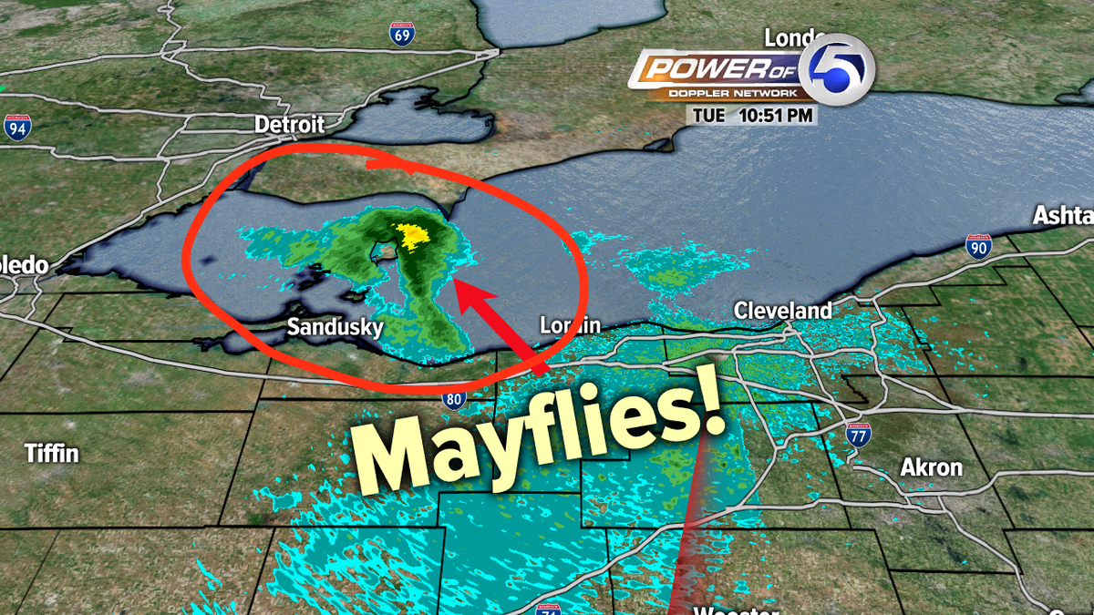 Portage Lakes Ohio Weather Radar at Tamara Wilson blog