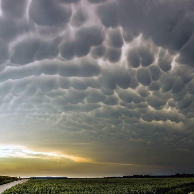 Tshupane Morake (@TshupaneMorake) | Twitter