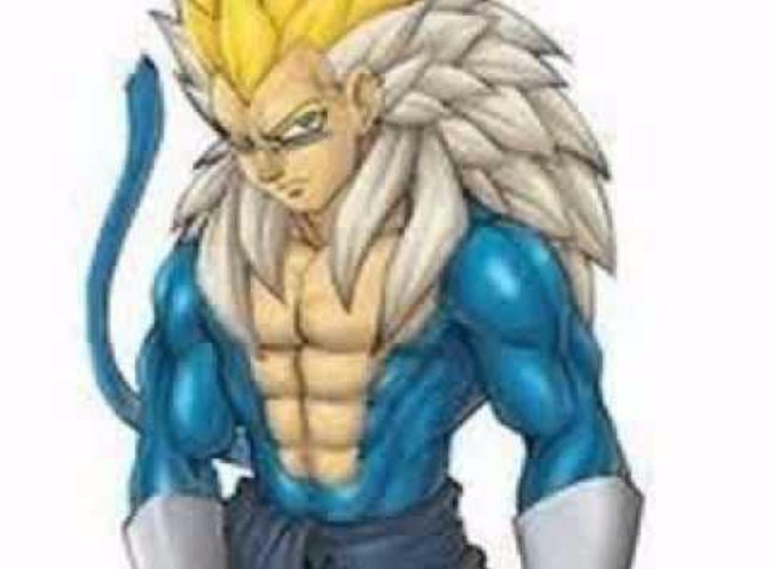 Vegeta Ssj 10