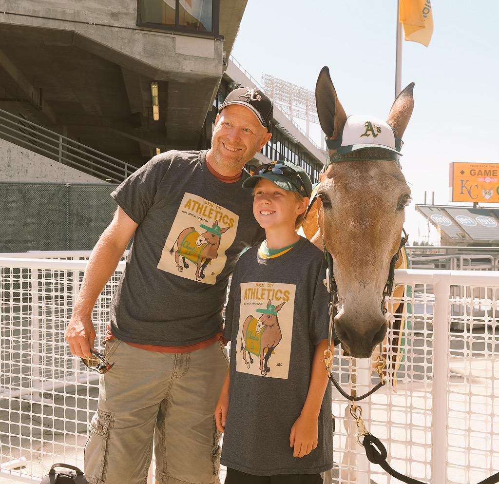 Charlie O. the mule is back at the LF Flag Poles taking photos with # ...