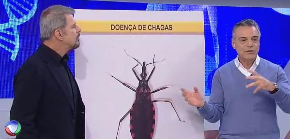 A doença de chagas não é transmitida somente pela picada do barbeiro ...