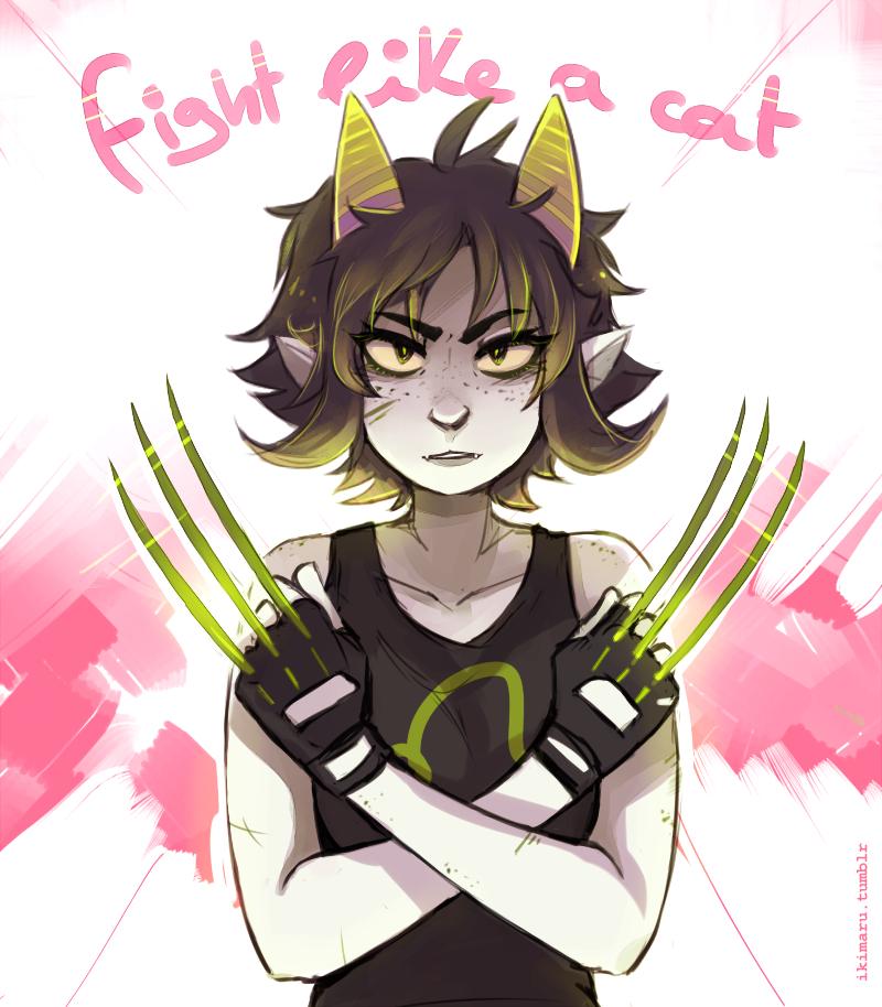 Nepeta Leijon Claws