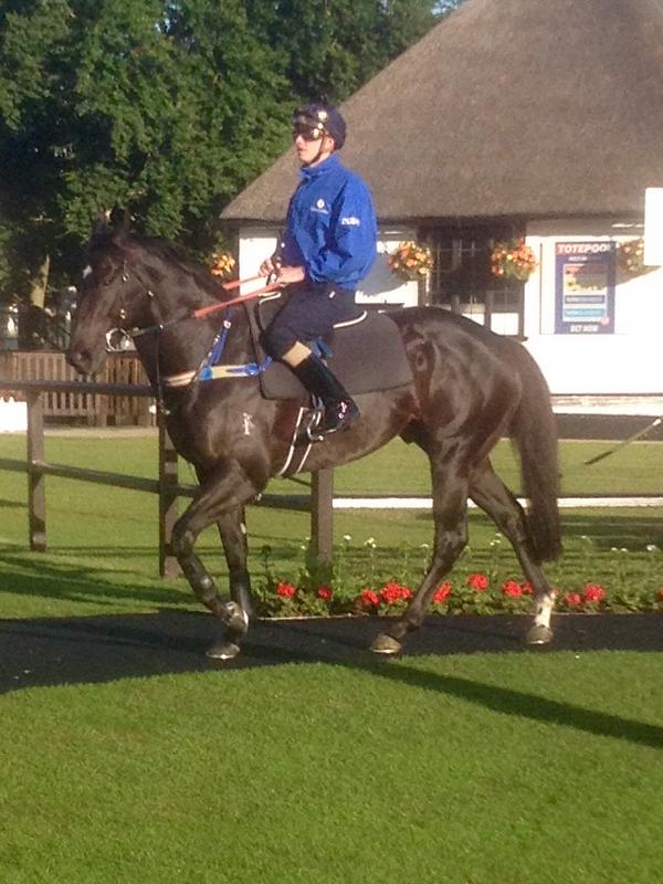 James Doyle has landed the plum ride on Brazen Beau in the Darley July ...