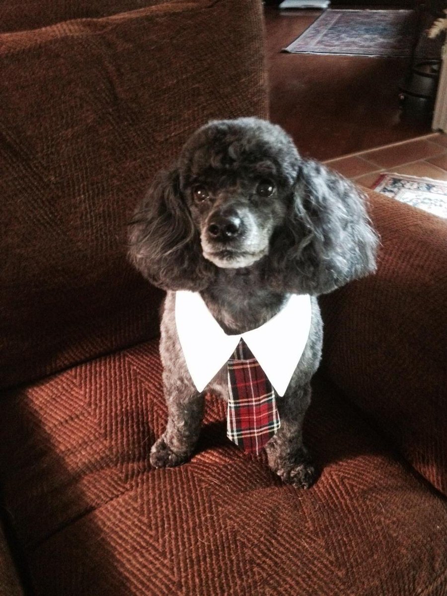 Bill Siebert (@SiebertBill) | Twitter