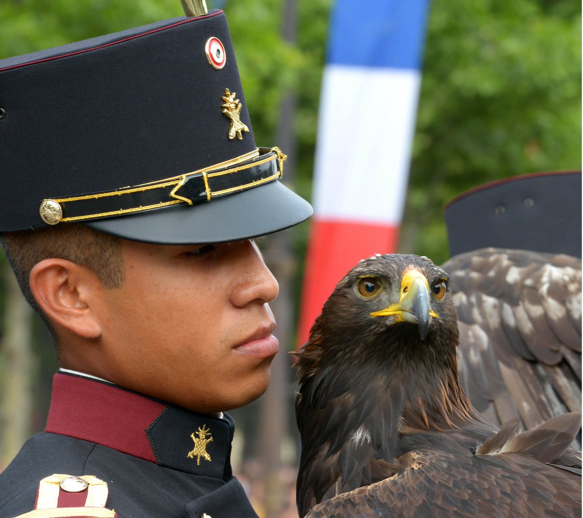 Águilas reales del heroico colegio militar participaron de manera ...