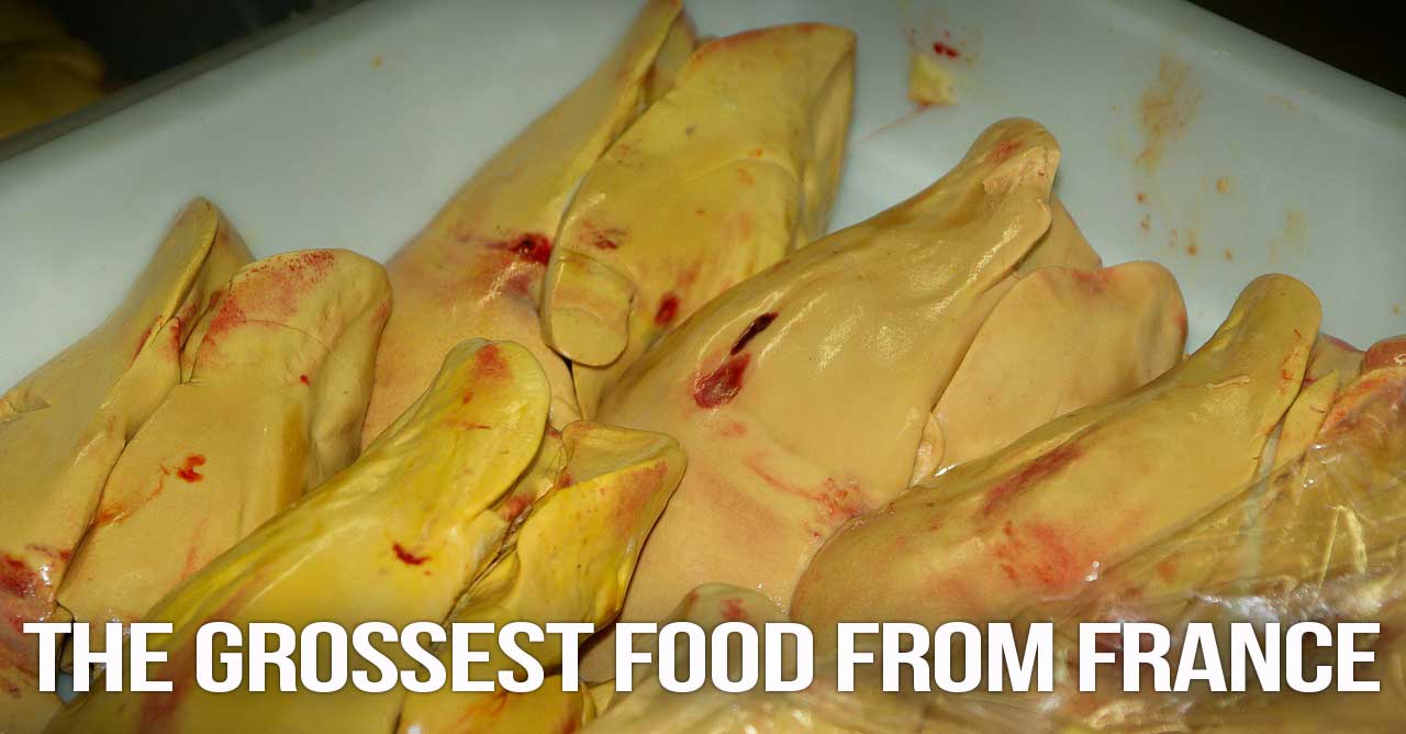 Really Gross Pictures