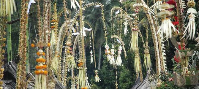 Putu Althea (@putualthea) | Twitter