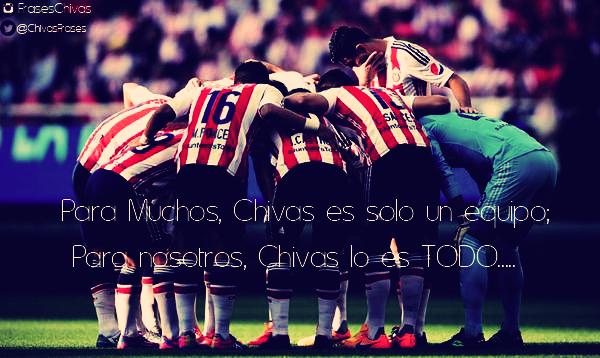 Introducir 61+ imagen frases contra chivas - Abzlocal.mx Introducir 61+ imagen frases contra chivas - Abzlocal.mx