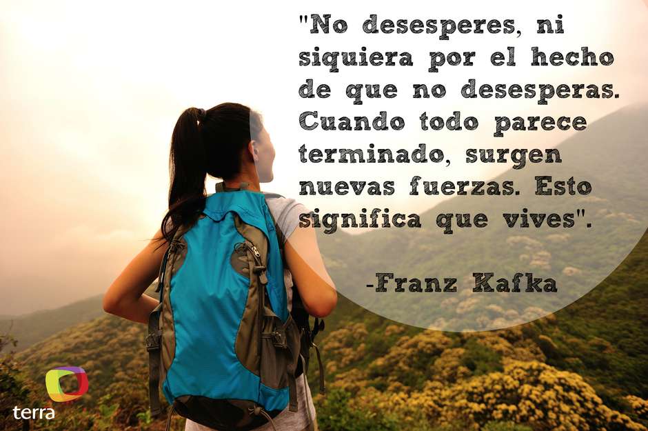 Total 49 Imagen Frases De Franz Kafka Metamorfosis Abzlocal Mx