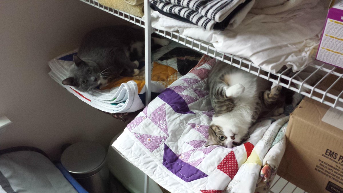 Jeff DeVore (@darth_devo) | Twitter