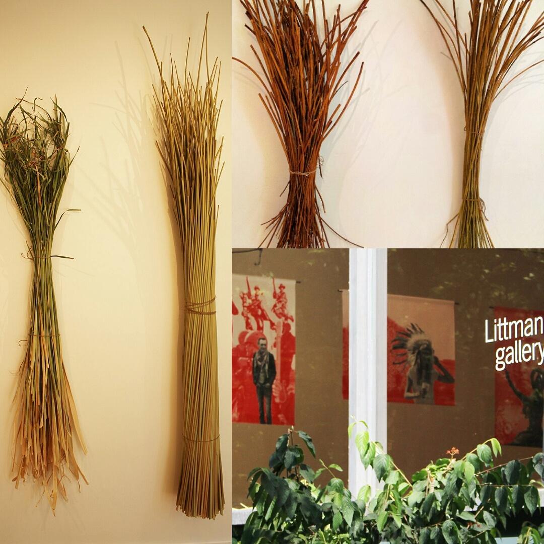 Indigenous Materials