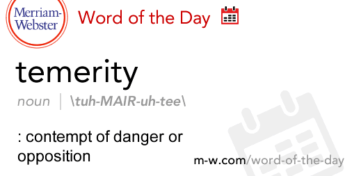 Temerity Definition
