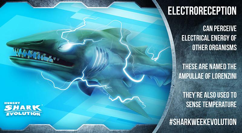 Electro Shark