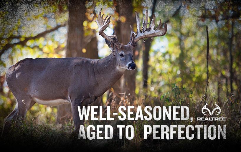 Nick Andreassi (@NickAndreassi) | Twitter