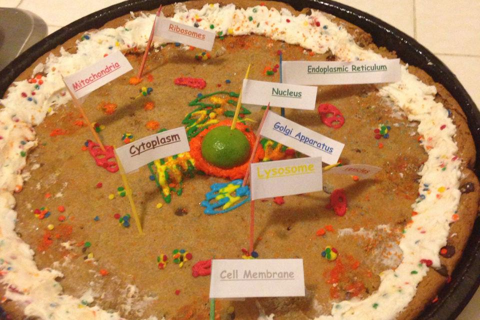 Edible Plant Cell Cookie