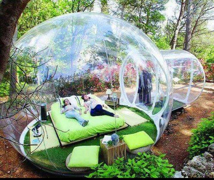 I want my own human terrarium. | Andy Park | Scoopnest