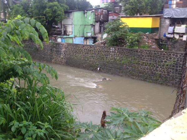 Tullahan River in Sto. Niño, Fairview, Quezon City. (Photo via ...