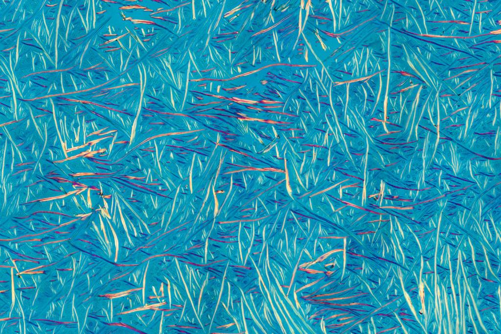 Meth Under Microscope