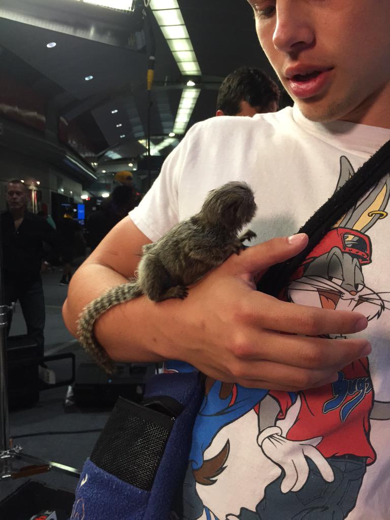 Anthony Davis Has A Pet Monkey Has Pet Monkey Named Meek