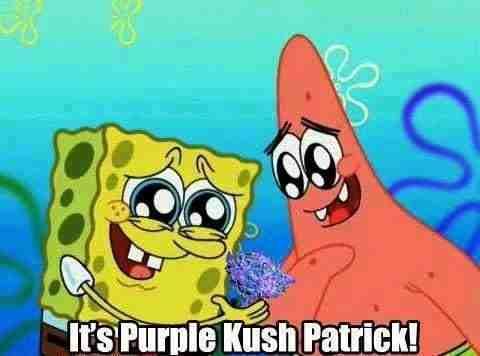 Spongebob And Patrick High On Weed