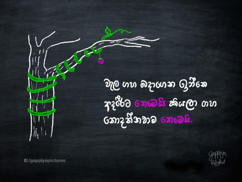 Sinhala Friendship Quotes