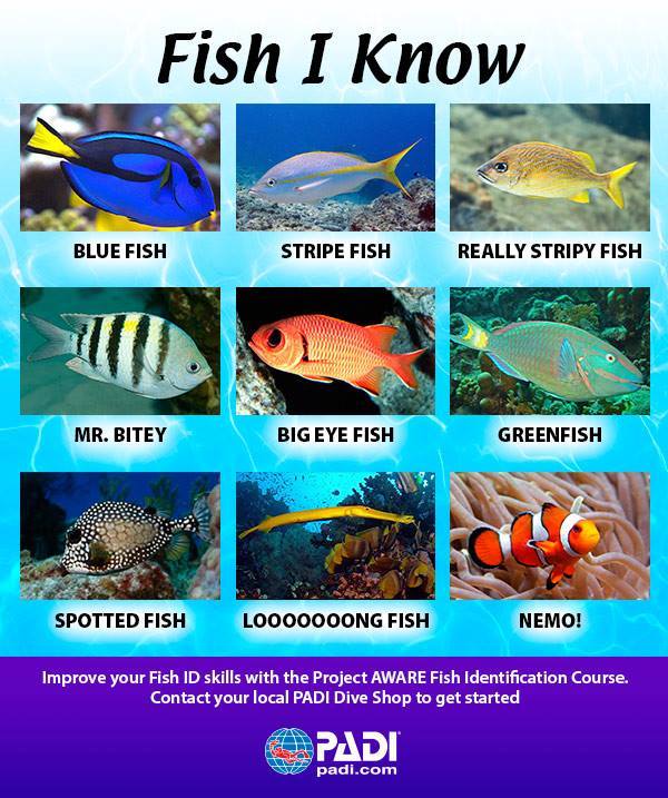 Exotic Fish Names